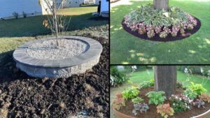 15 Landscape Tree Ring Ideas To Make Your Outdoor Standout - Homes ...