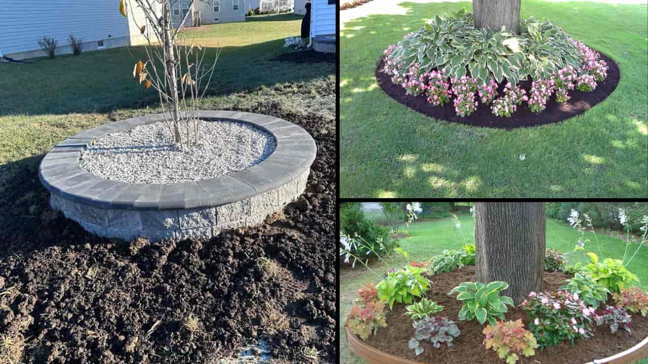 15 Landscape Tree Ring Ideas To Make Your Outdoor Standout - Homes ...
