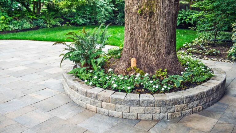 15 Landscape Tree Ring Ideas To Make Your Outdoor Standout - Homes ...