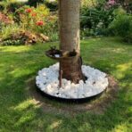 15 Landscape Tree Ring Ideas To Make Your Outdoor Standout - Homes ...