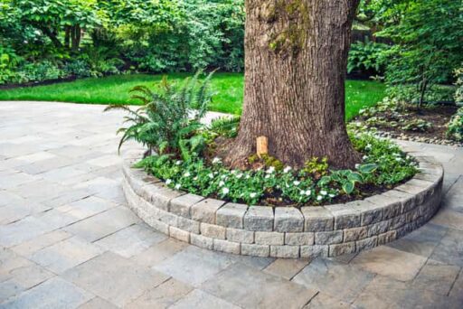 15 Landscape Tree Ring Ideas To Make Your Outdoor Standout - Homes ...